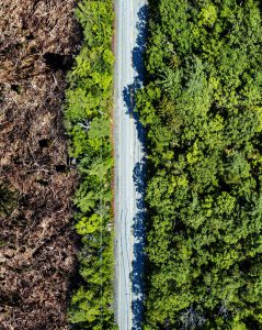 Supplemental Coverage - First Canadian